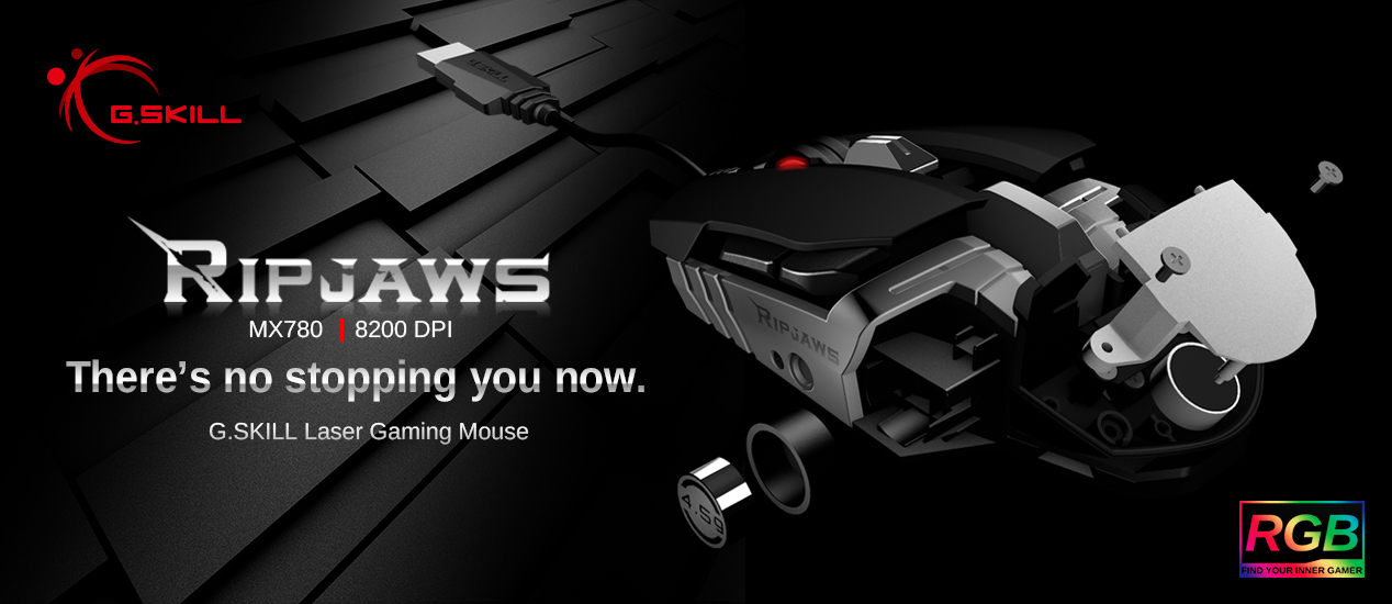 G.SKILL - RAM & Memory for Desktops, Laptops, Flash & More | Brand ...